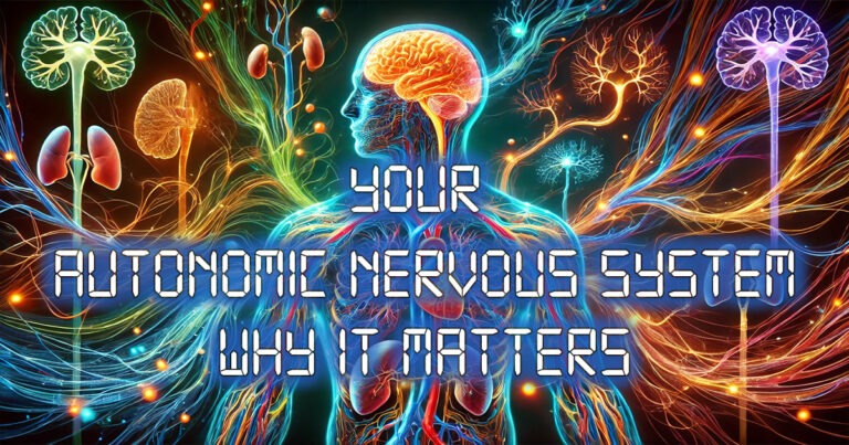 How the Autonomic Nervous System Affects Your Health